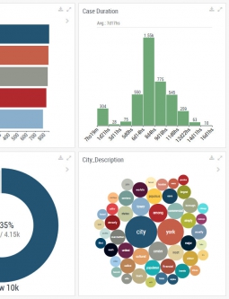 EverFlow - Process Mining Software Comparison